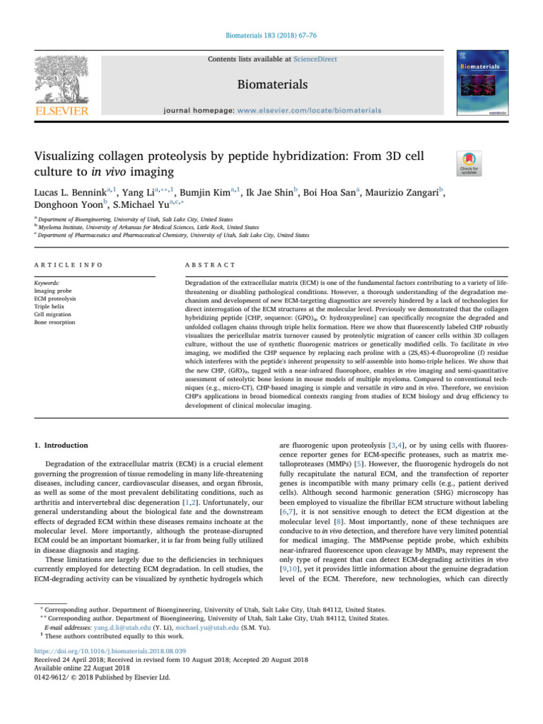 Visualizing Collagen Proteolysis by Peptide Hybridization From 3D Cell3 ...