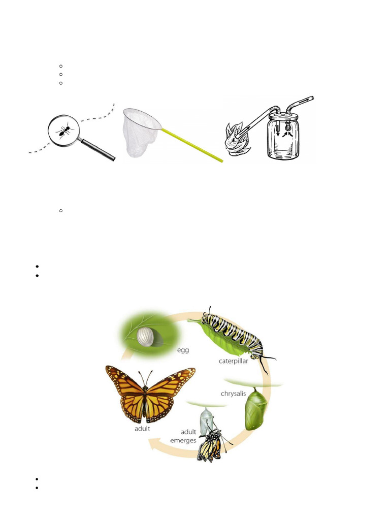 Observing Living Things in Their Habitat | PDF