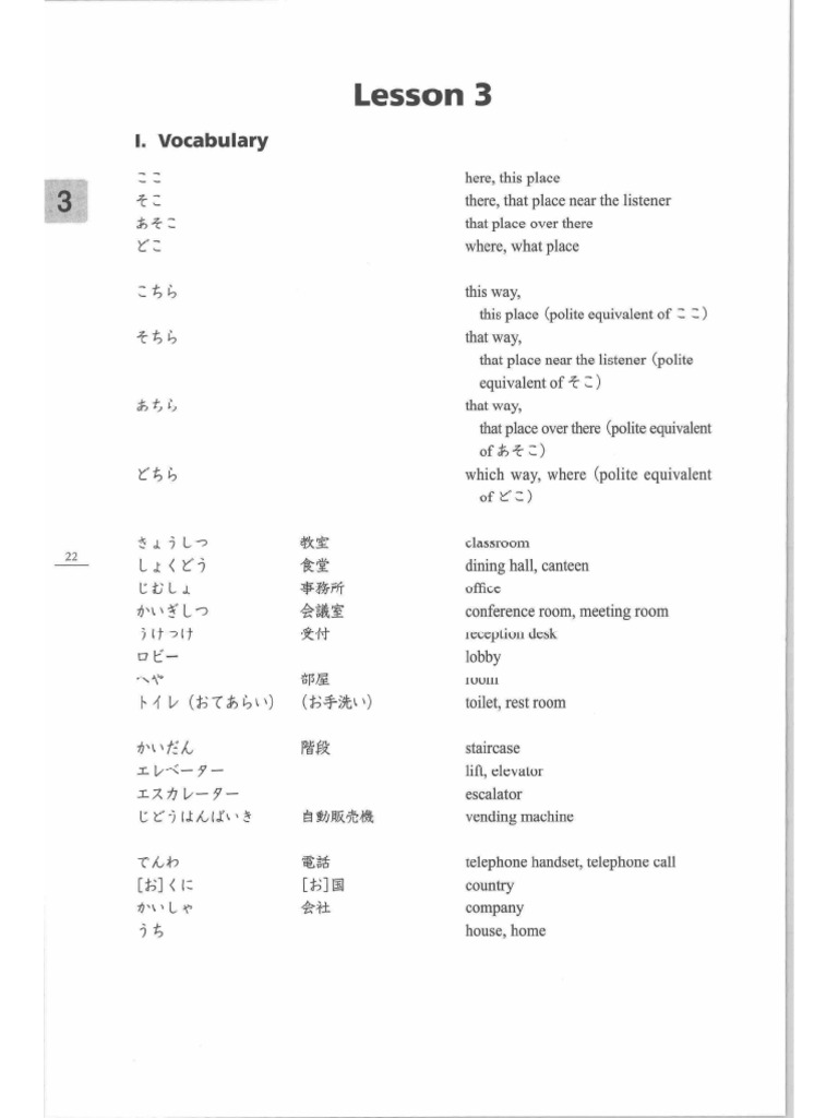 Lesson 3 Grammar - Vocabs | PDF