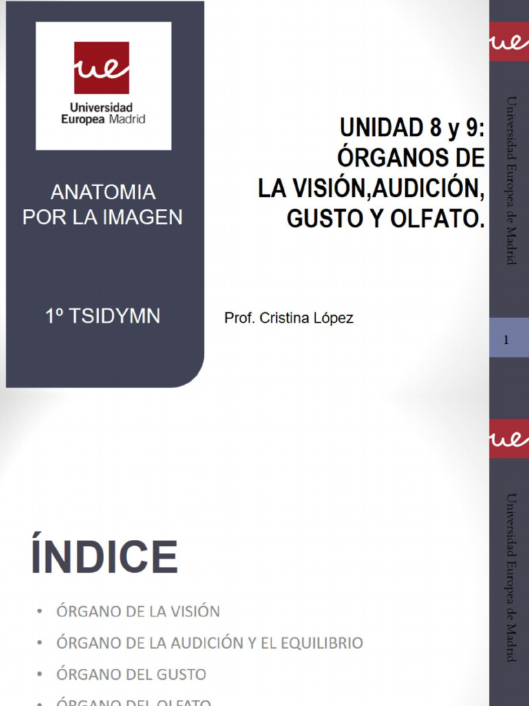 Ppt Ar Ut8 Completo | PDF