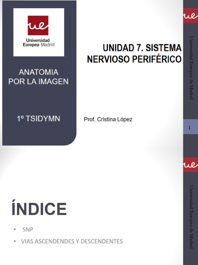 Ar Ut7 Completo | PDF