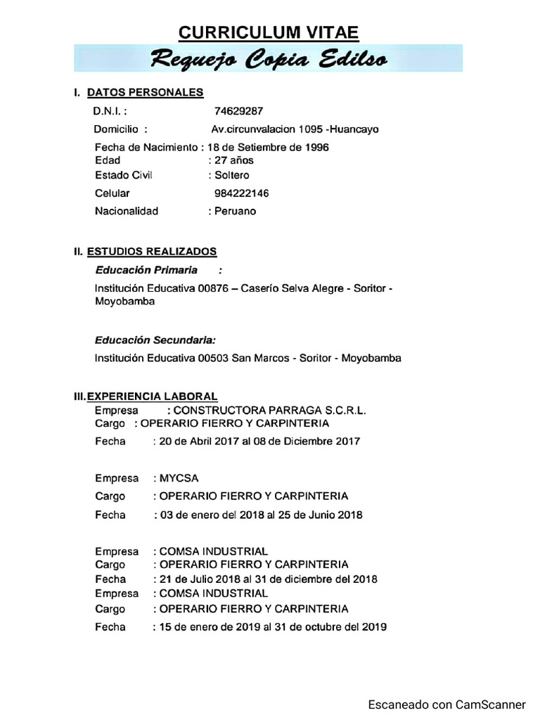 CV Edilso Requejo 2024 | PDF