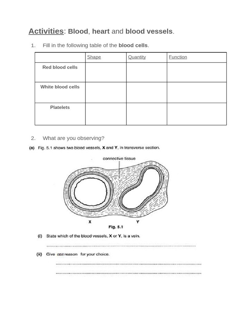 Activities - Blood, Heart and Blood Vessels. | PDF