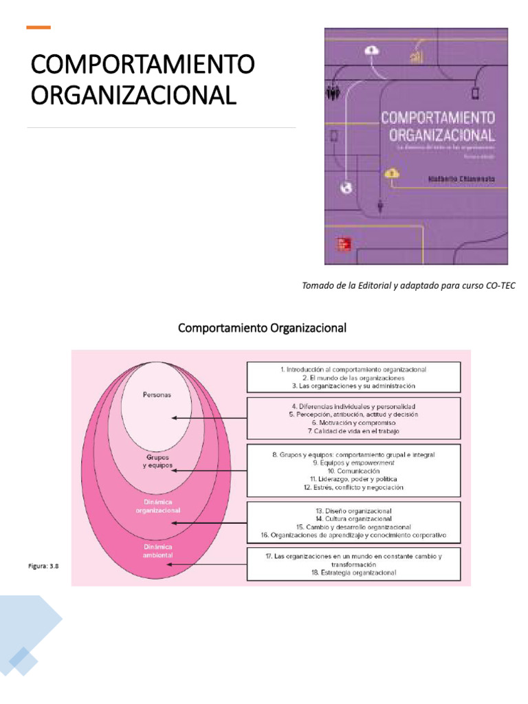 4s Personalidad y Percepci N Personalidad y Percepción | PDF | Percepción | Comportamiento