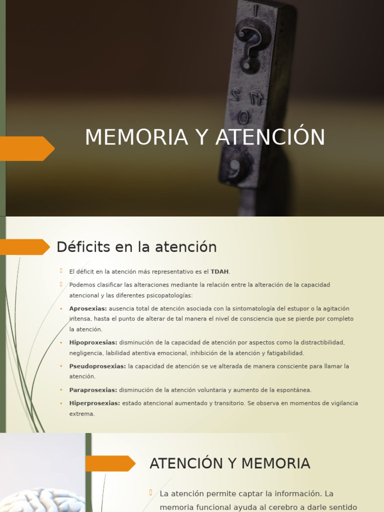 Memoria y Atencion | PDF
