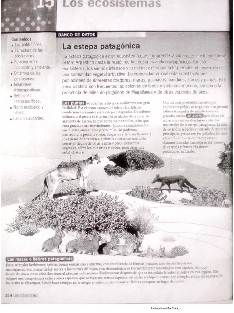 Lectura Ecosistemas | PDF