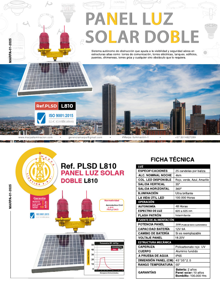 Ficha PLSD - 2025 | PDF