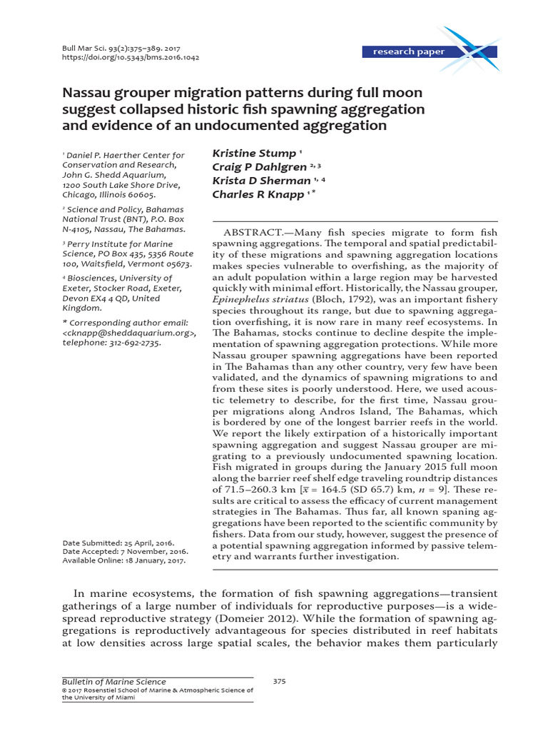 Nassau Grouper Migration Patterns During Full Moon Suggest Collapsed ...