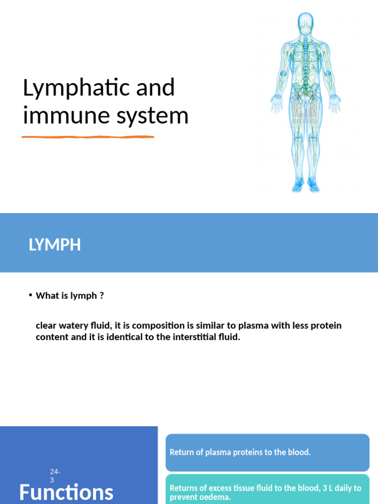 Lymphatic System Functions and Components | PDF | Lymphatic System ...