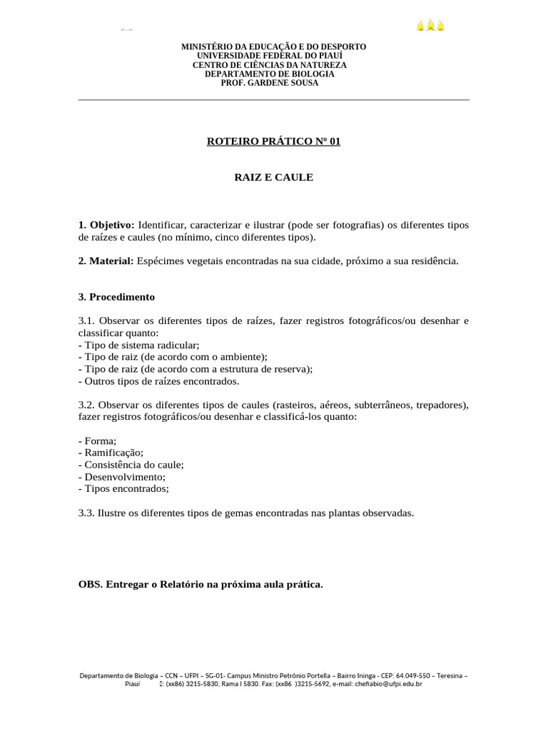 Roteiro prático de Raiz e Caule | PDF