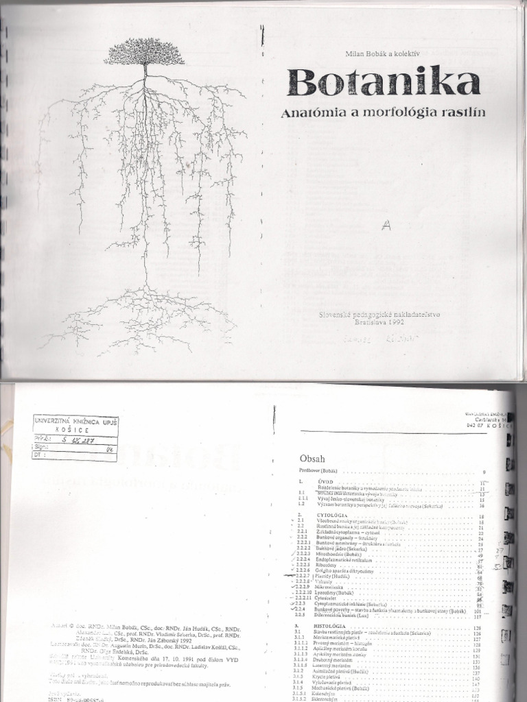 Botanika - bobák | PDF