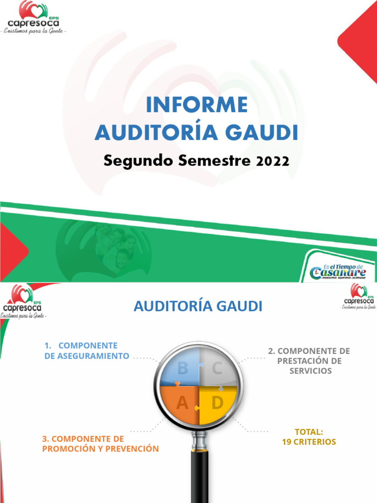 Informe Gaudi 2 Sem 2022 | PDF
