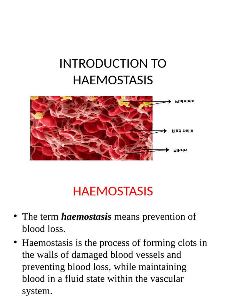 Understanding Haemostasis Mechanisms | PDF | Coagulation | Platelet
