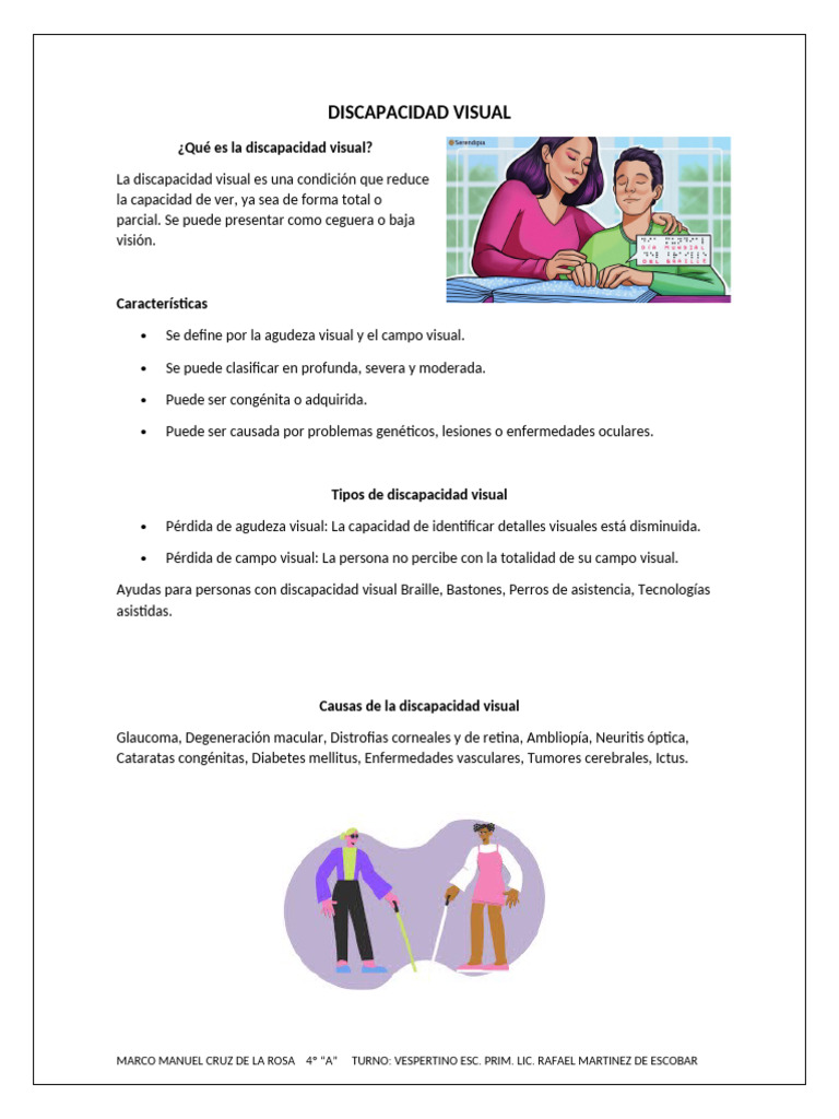 Tipos y causas de discapacidad visual | PDF