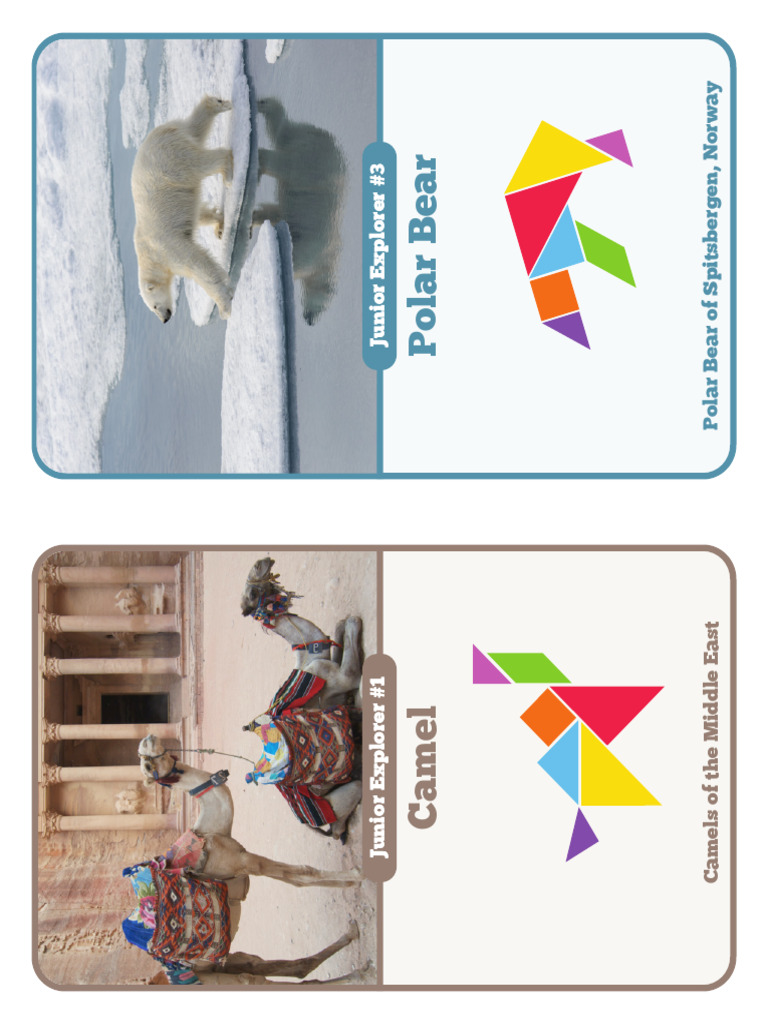 Level 1 Math Junior-Explorer Flashcards - WEB | PDF