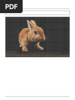 Rock Color Chart - Munsell | PDF | Brown | Green