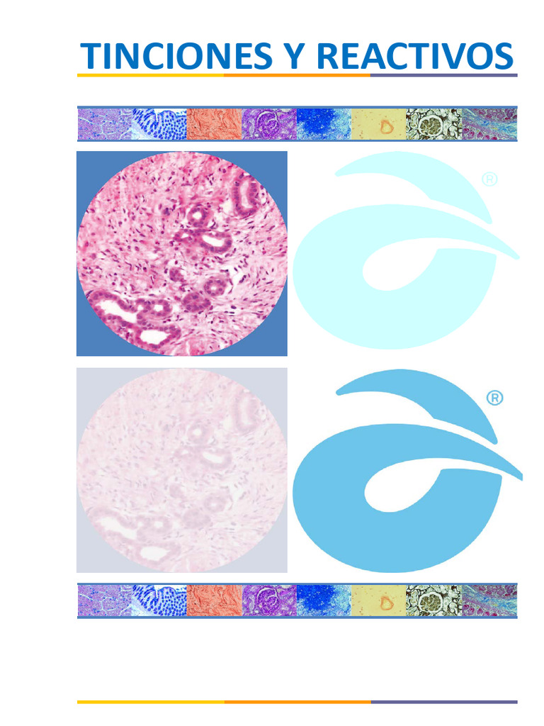 Reactivos, Colorantes y Kits de Tinción Casa Alvarez | PDF | Tinción ...