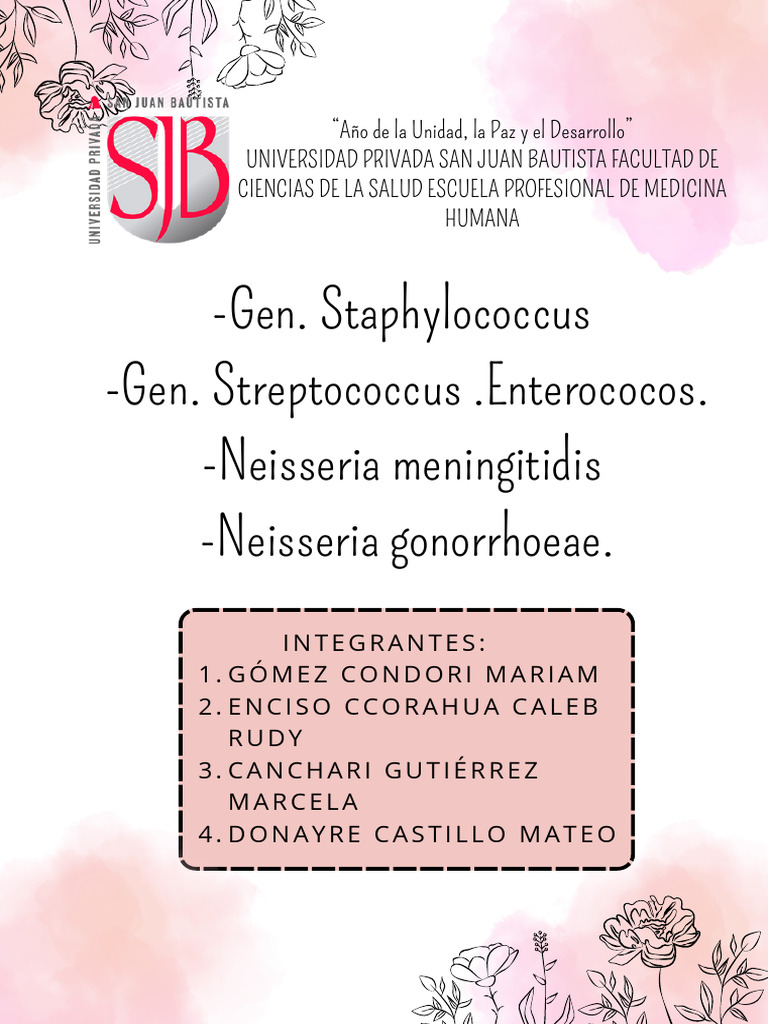 Copia de LRPD 1 Ingles | PDF