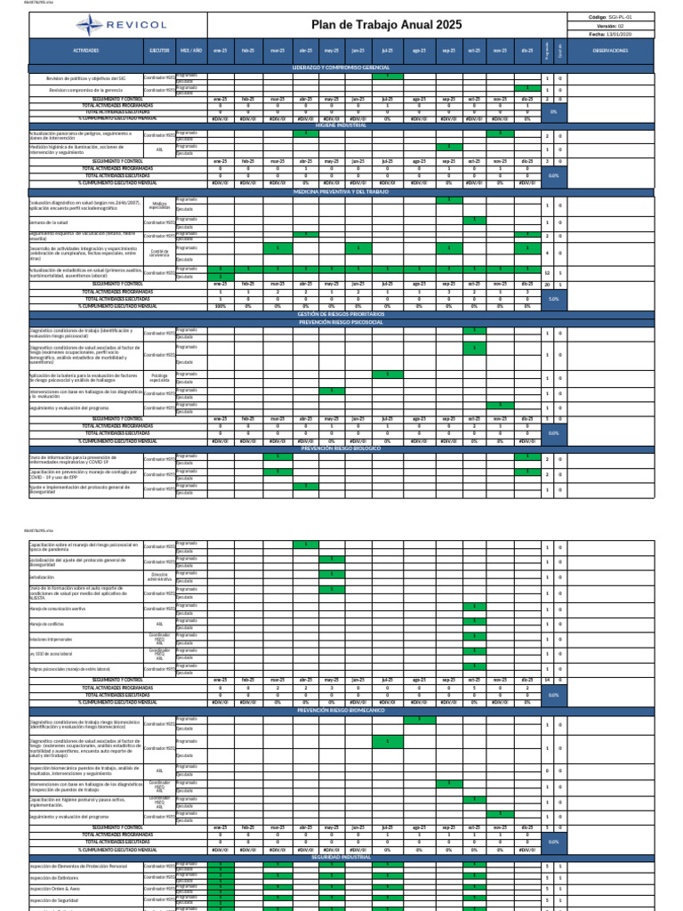 Sgi-Pl-01 Plan de Trabajo Anual 2025 | PDF