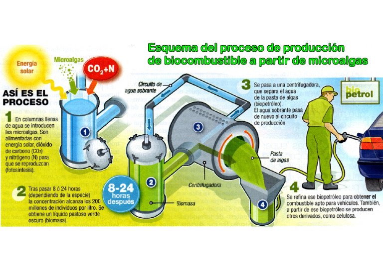 3deec8c6 F90e 496d 9dce 30c53ca5b4d6 | PDF