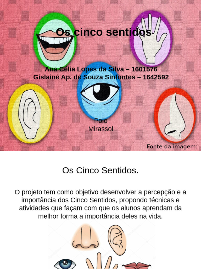 Projeto Didático: Os Cinco Sentidos | PDF