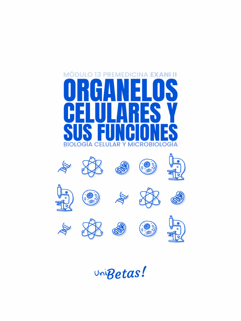Funciones de los Organelos Celulares | PDF | Citoplasma | Biología Celular)