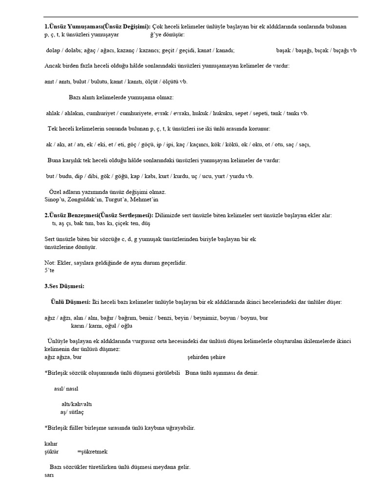 Ses Olaylari | PDF