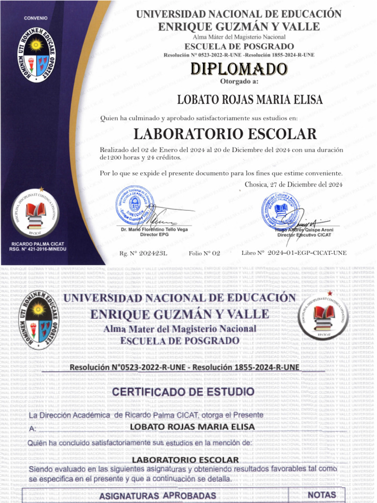 CV Lobato Rojas Maria Elisa | PDF | Enseñando | Laboratorios
