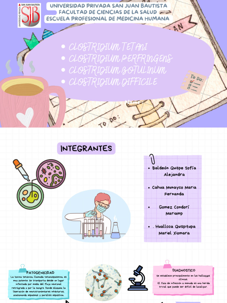 Enfermedades por Clostridium: Síntomas y Diagnóstico | PDF | Diarrea ...