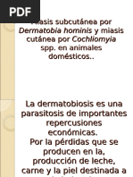 Miasis Cutánea: Diagnóstico y Tratamiento | PDF | Especialidades ...