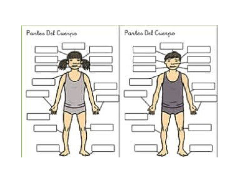 Guia Tercero - Esquema Corporal | PDF