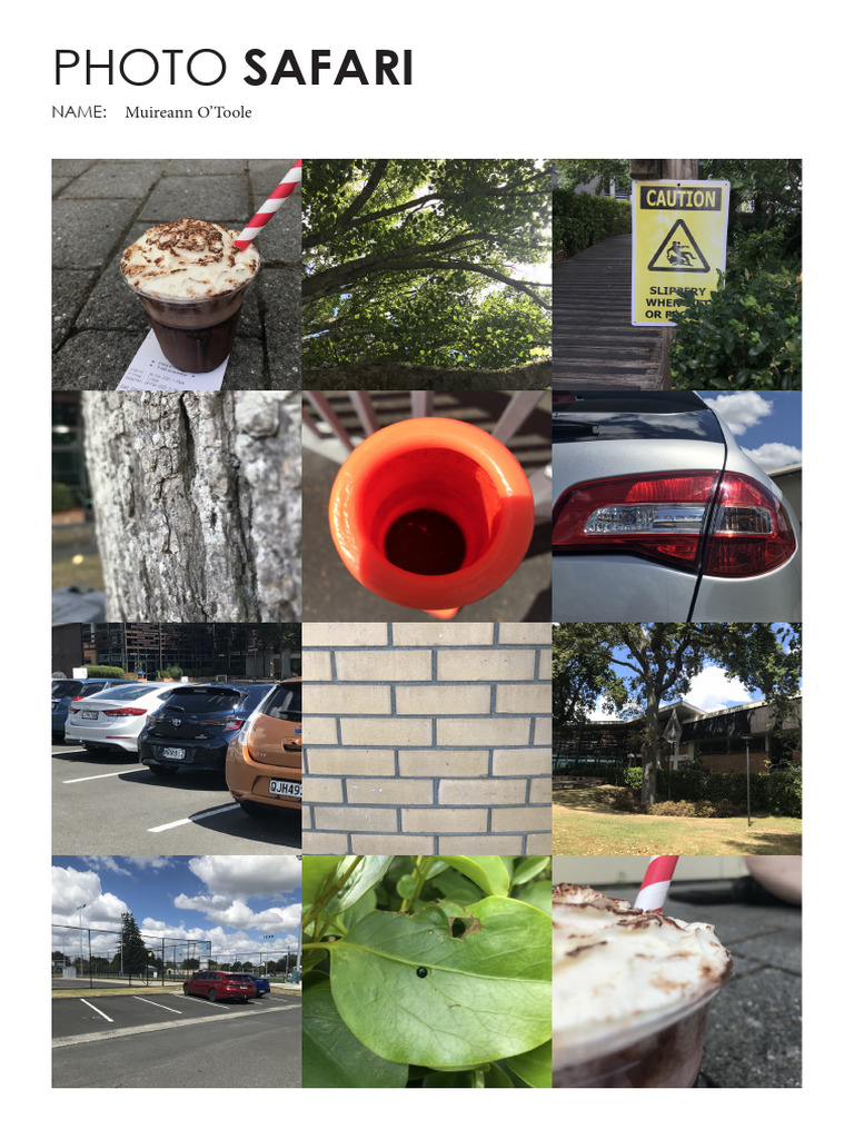 Photo Safari Collage | PDF