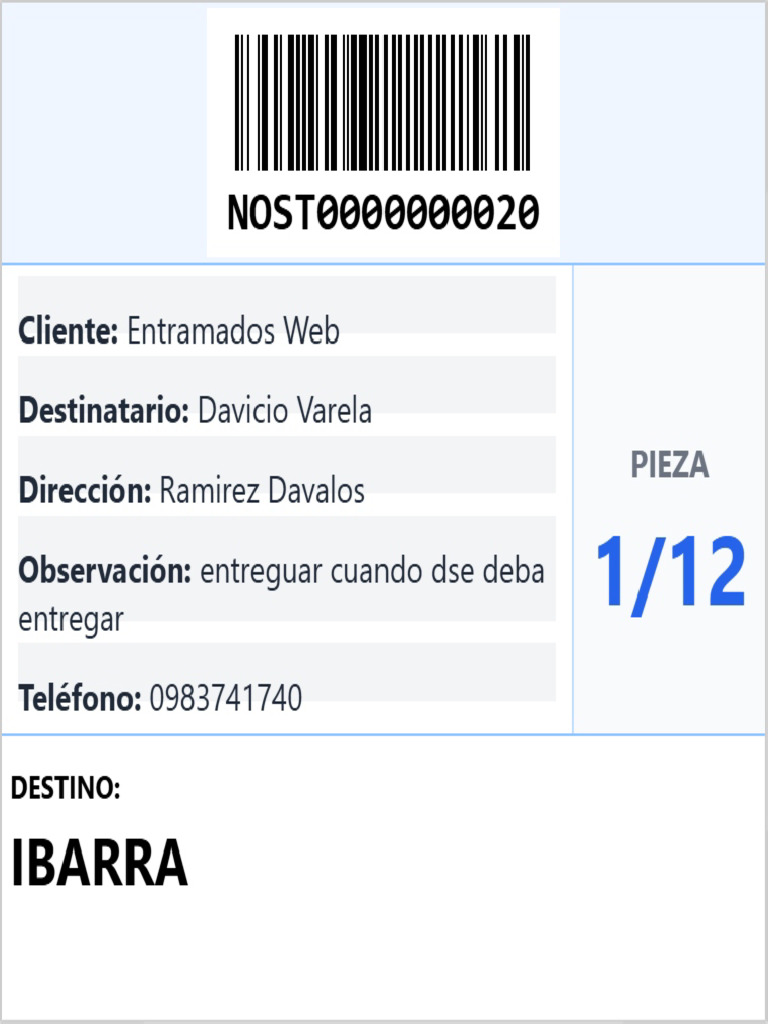 Guia - Envio - 2025-03-18T001143.905 | PDF