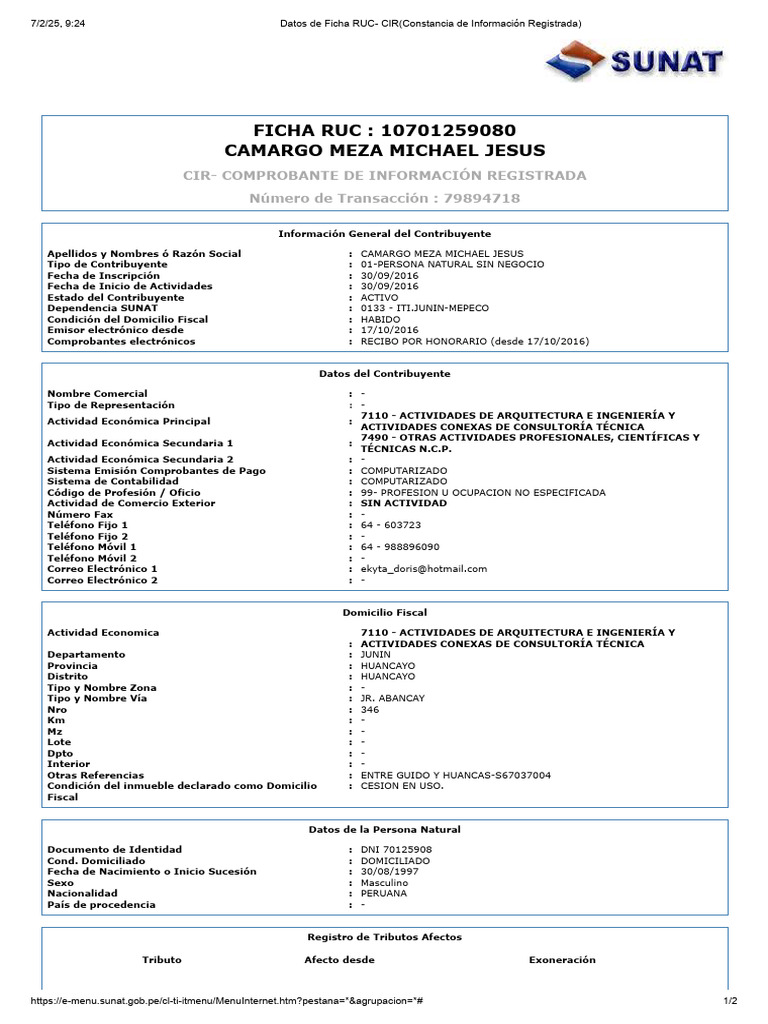 Ficha RUC de Michael Camargo Meza | PDF
