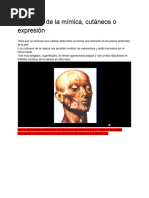 Músculo Corrugador Superciliar: Función y Anatomía | PDF