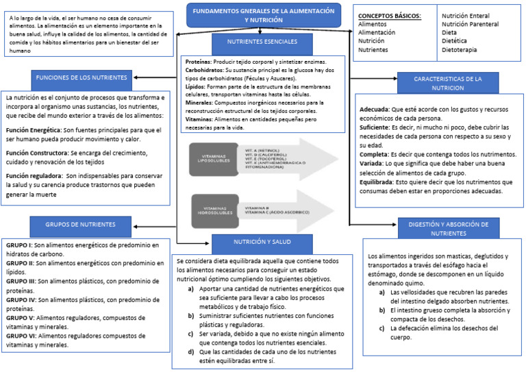 Mapa Conceptual de Fundamentos de Generales de La Alimentación y Nutricion | PDF | Nutrición ...