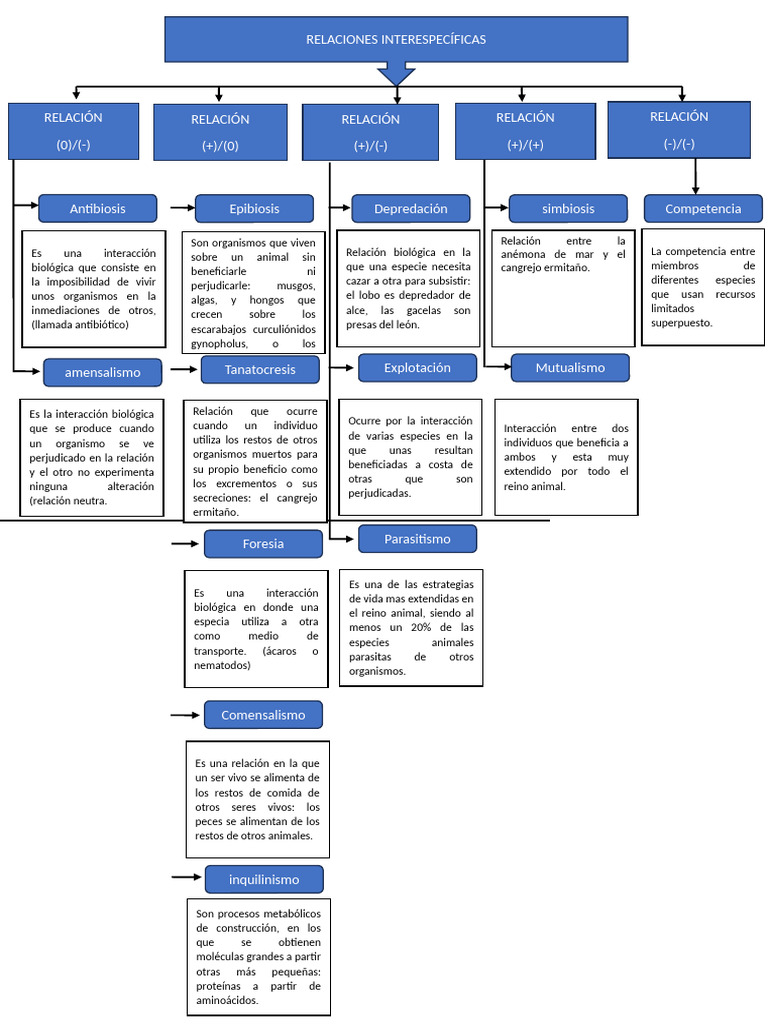 Mapa Conceptual de Relaciones Bióticas | PDF | Simbiosis | Depredación