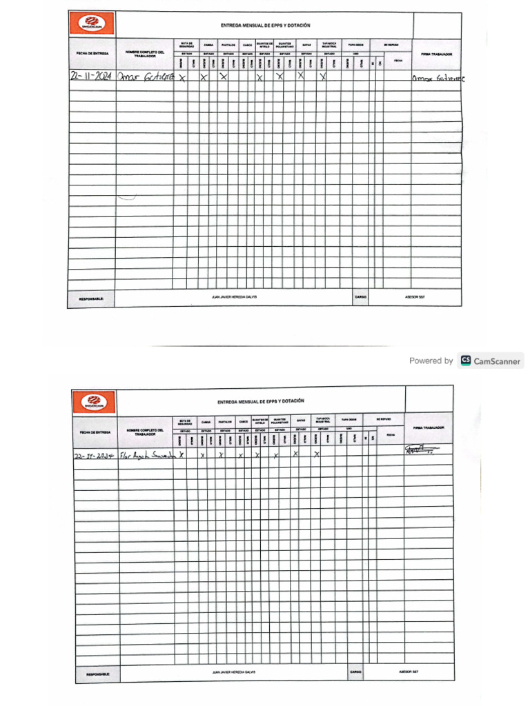 Entrega Epps Lavado Noviembre 2024 | PDF