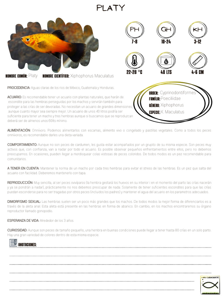PLATY-1 | PDF | Acuario | Hembra