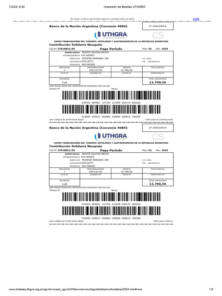 202501 - Boletas UTHGRA | PDF