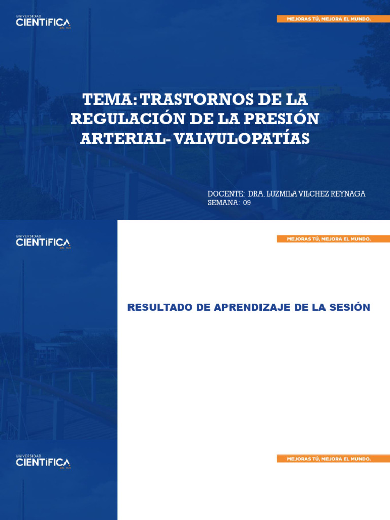 PPT_FISIOPATOLOGIA_SEM-09_ 2024-1 | PDF | Angiotensina | Presión sanguínea