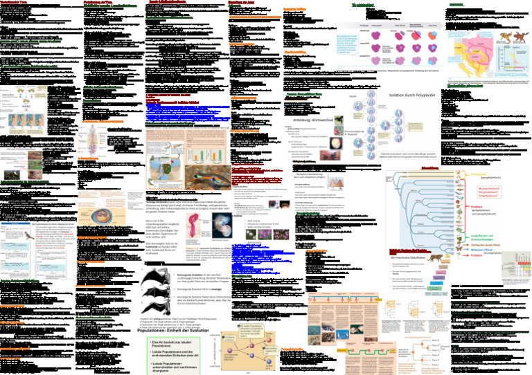 BFT Zusammenfassung Frau | PDF