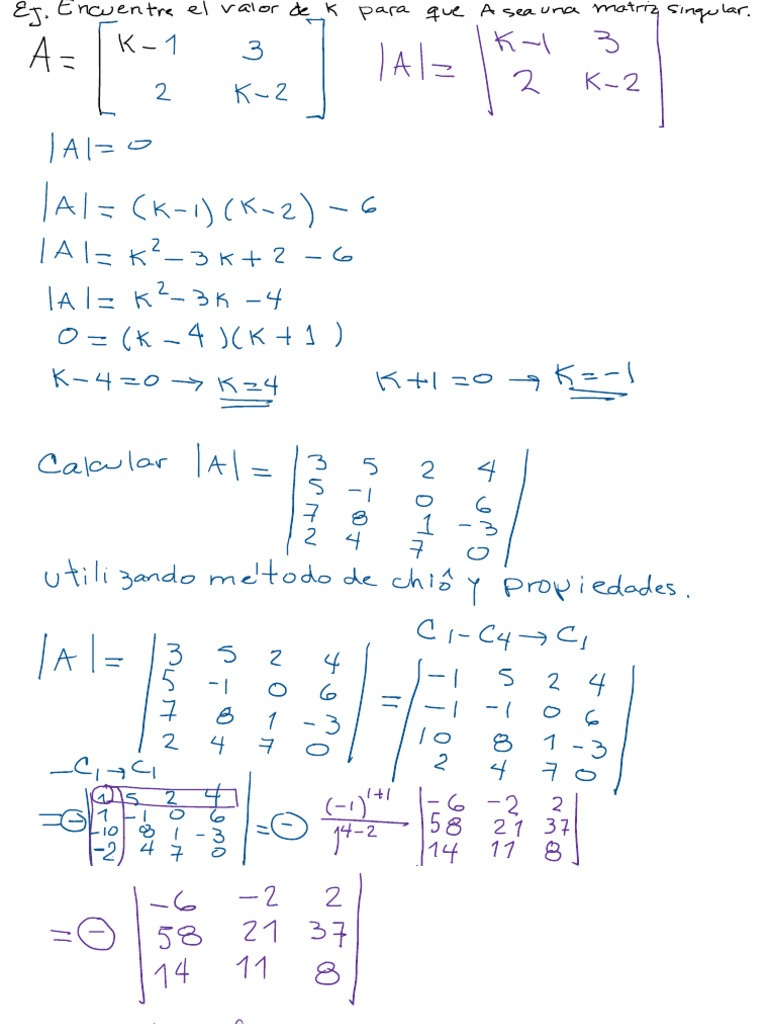 Matrices Equivalentes y Normalización | PDF