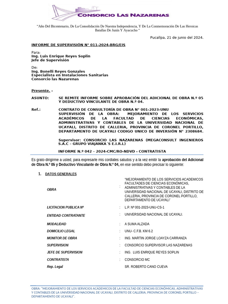 INFORME #009 - 2024 - BRG - EIS Rejilla 1 Nivel | PDF