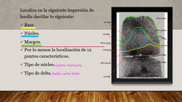 Análisis de Huella Dactilar: Puntos Clave | PDF
