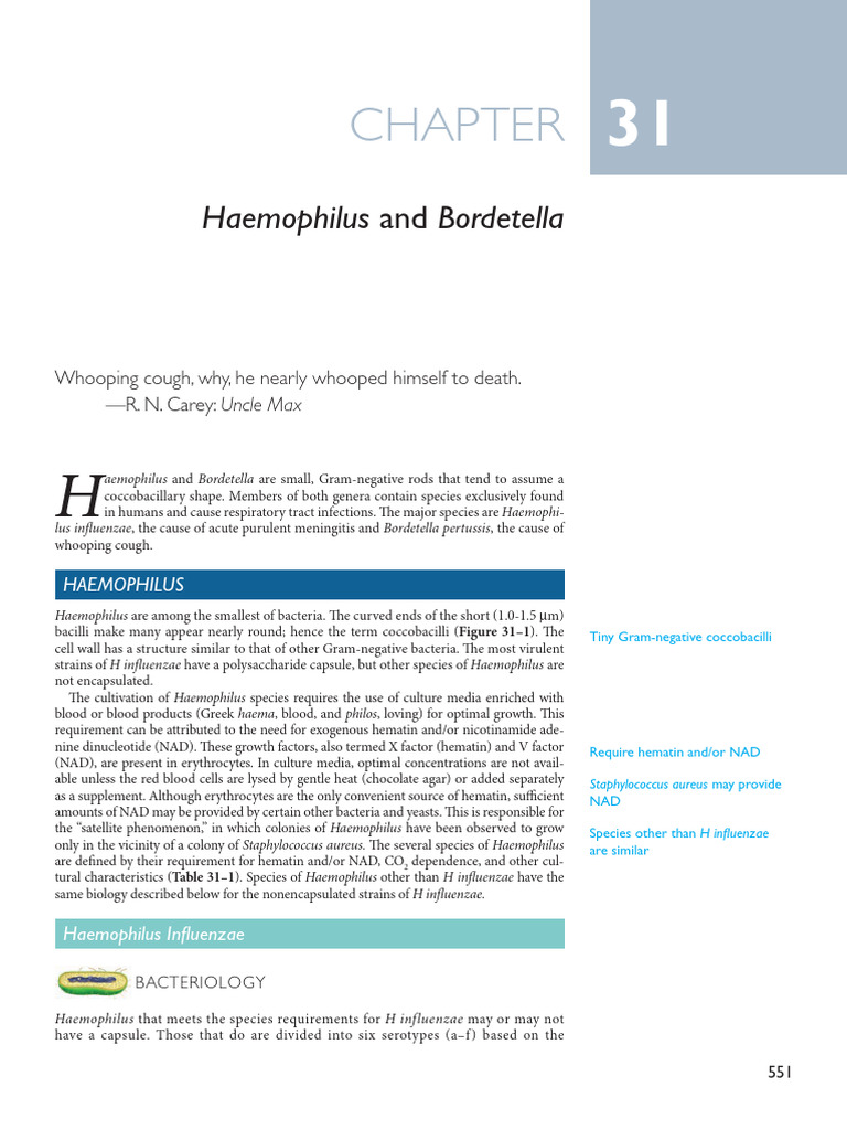 Haemophilus and Bordetella Overview | PDF | Microbiology | Immunology
