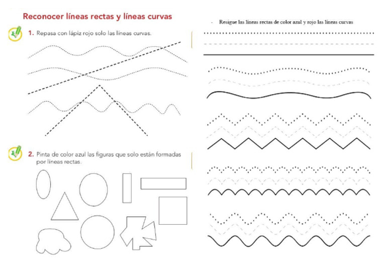 Lineas Rectas y Curvas - Ficha | PDF
