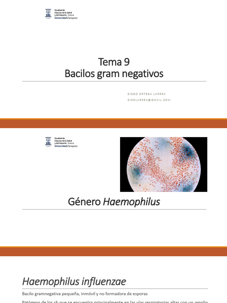 Tema 9 bacilos gram negativos_443fc33c22fae3b00deed55616306582 | PDF | Meningitis | Neumonía