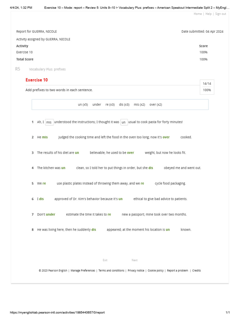 Vocabulary Plus: Prefixes Report | PDF