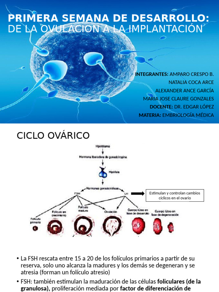 Primera Semana de Desarrollo 5 | PDF | Control de la natalidad | Hormona luteinizante